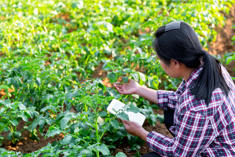 Inspire - Digital Technologies in the Food System - EIT Campus